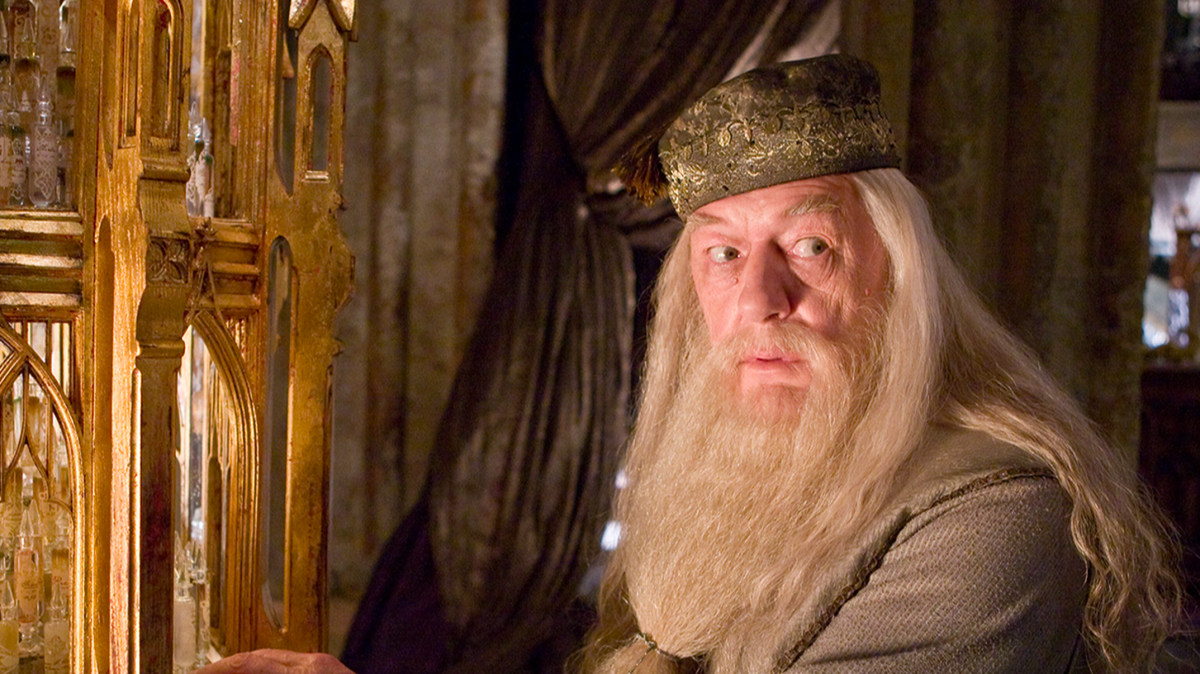 Fanii lui Harry Potter care îl pierd pe castingul HBO Dumbledore - Noobz.ro