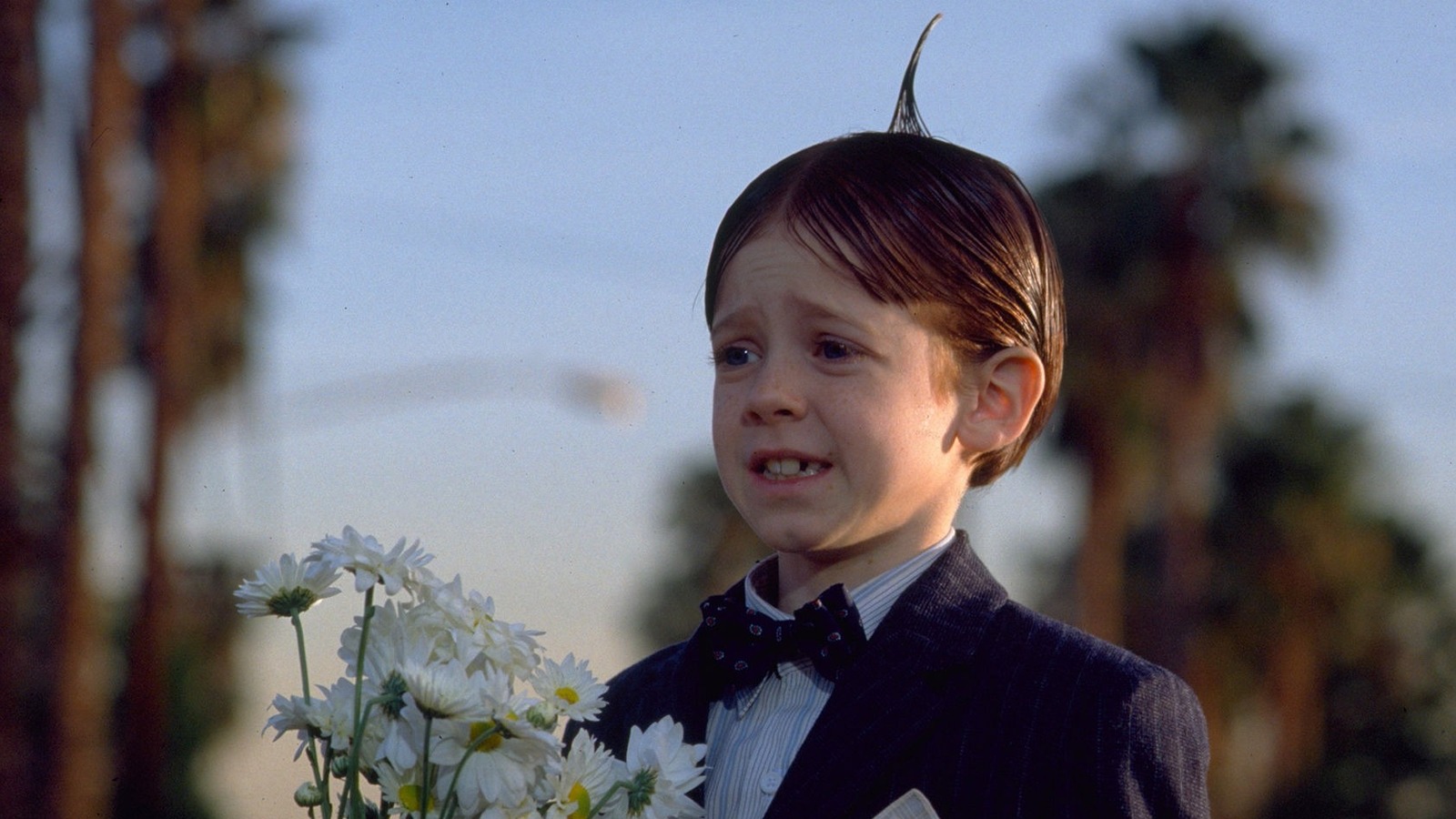 Fiecare actor care a jucat Alfalfa de la Little Rascals - Noobz.ro